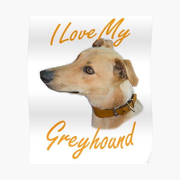 "Sadsac designs - I Love My Greyhound" Poster for Sale by SadSacDesigns ...
