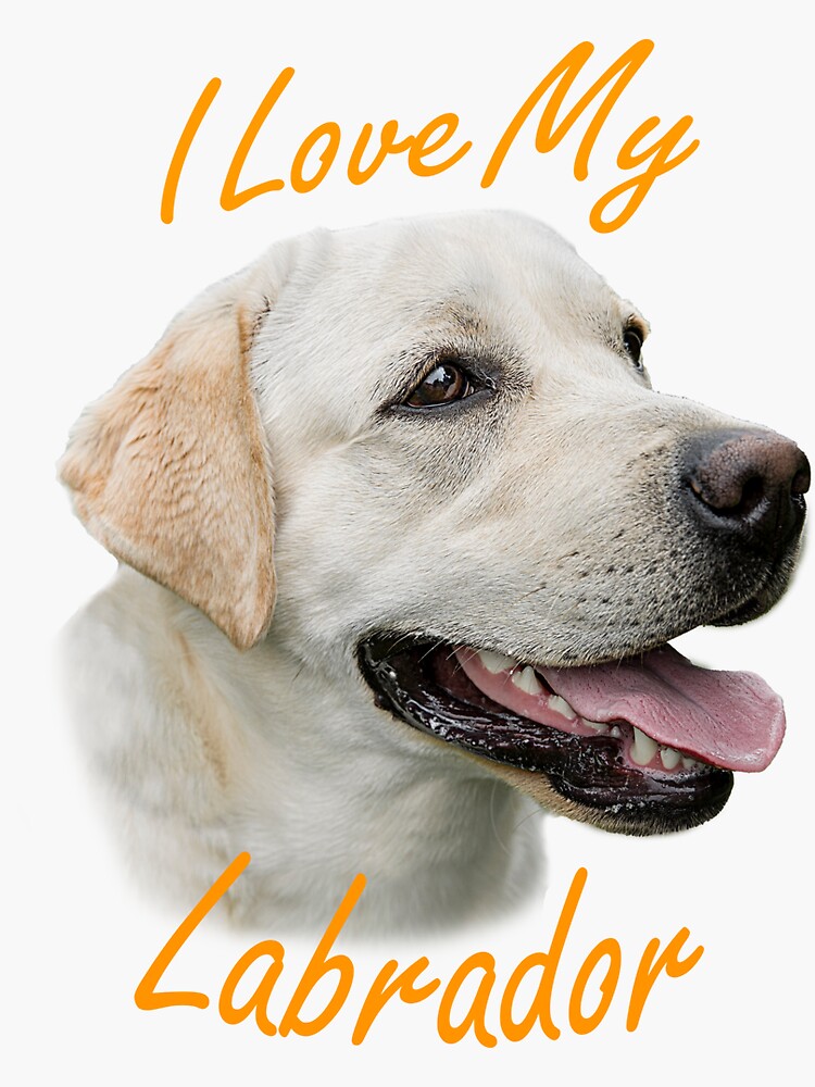"Sadsac designs - I Love My Labrador" Sticker for Sale by SadSacDesigns ...