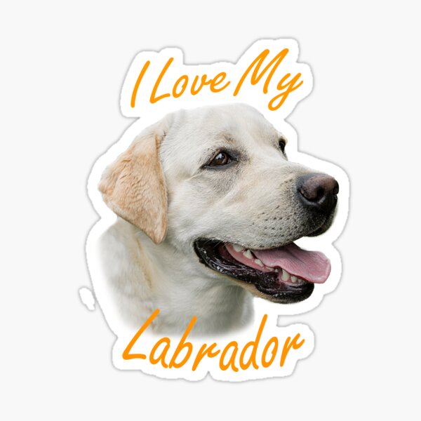"Sadsac designs - I Love My Labrador" Sticker for Sale by SadSacDesigns ...