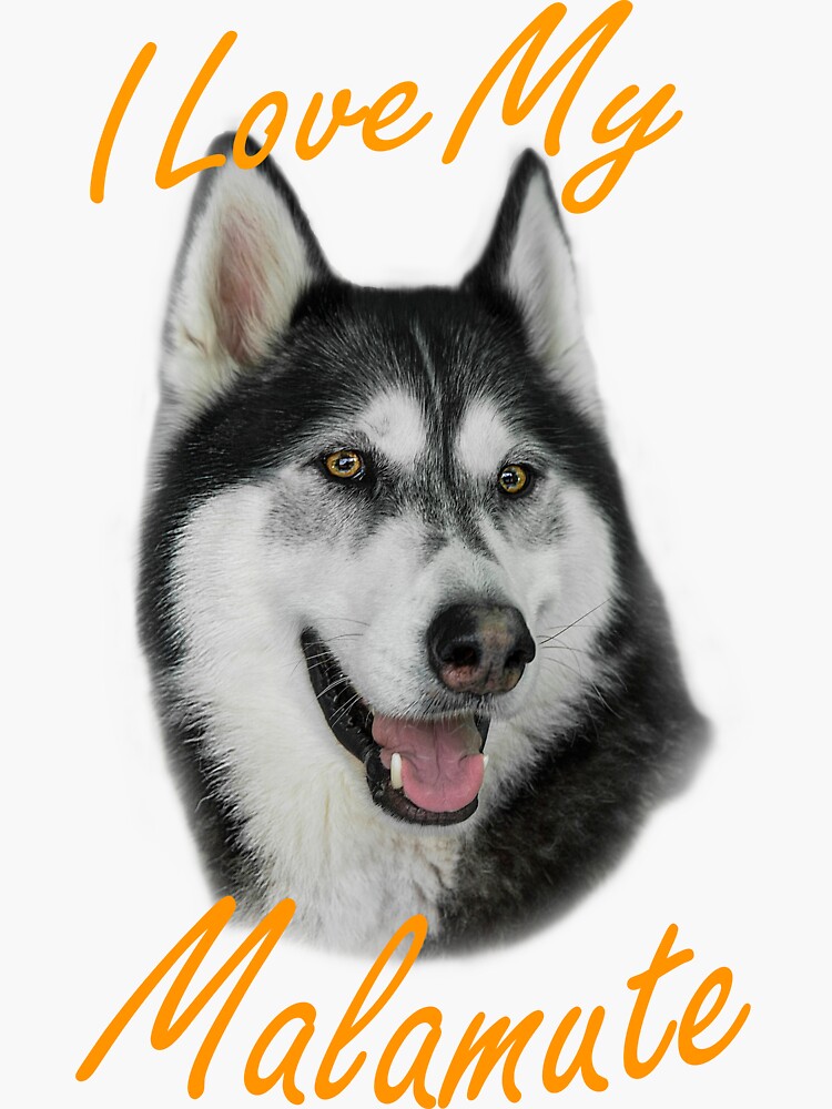"Sadsac designs - I Love My Malamute" Sticker by SadSacDesigns | Redbubble
