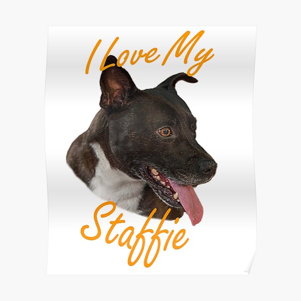 "Sadsac designs - I Love My Staffie" Poster for Sale by SadSacDesigns ...