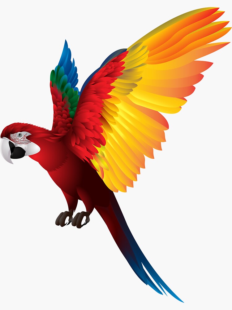 "Beautiful Colorful Parrot " Sticker for Sale by dezichner | Redbubble