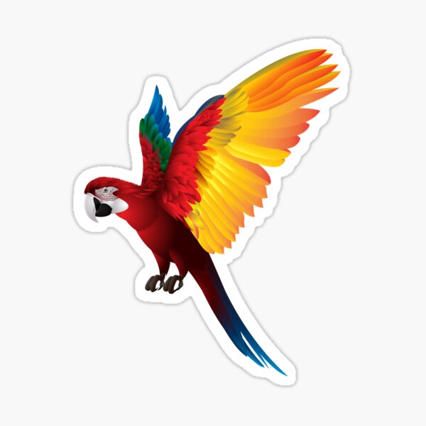 "Beautiful Colorful Parrot " Sticker for Sale by dezichner | Redbubble