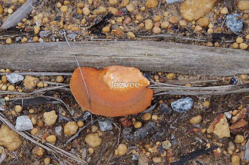 "Serpentine Fungus" by lezvee | Redbubble