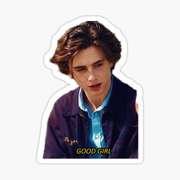 "Timothee Chalamet Kyle good girl Lady Bird" Sticker for Sale by ...