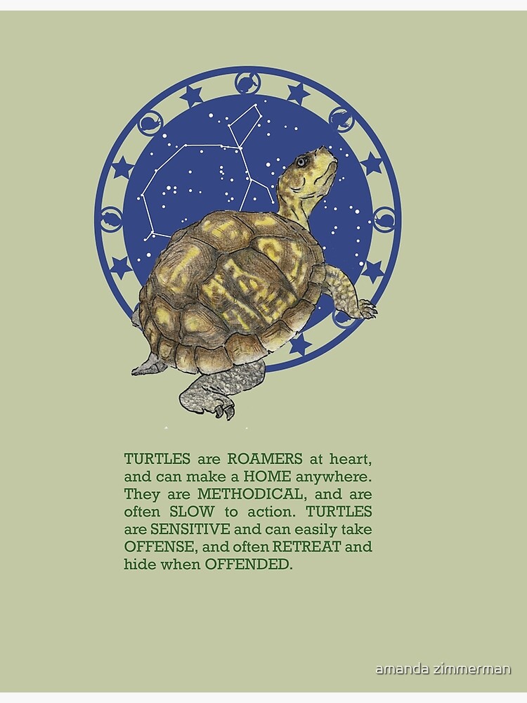 "Turtle Animal Sign Zodiac" Poster by salamandaz | Redbubble