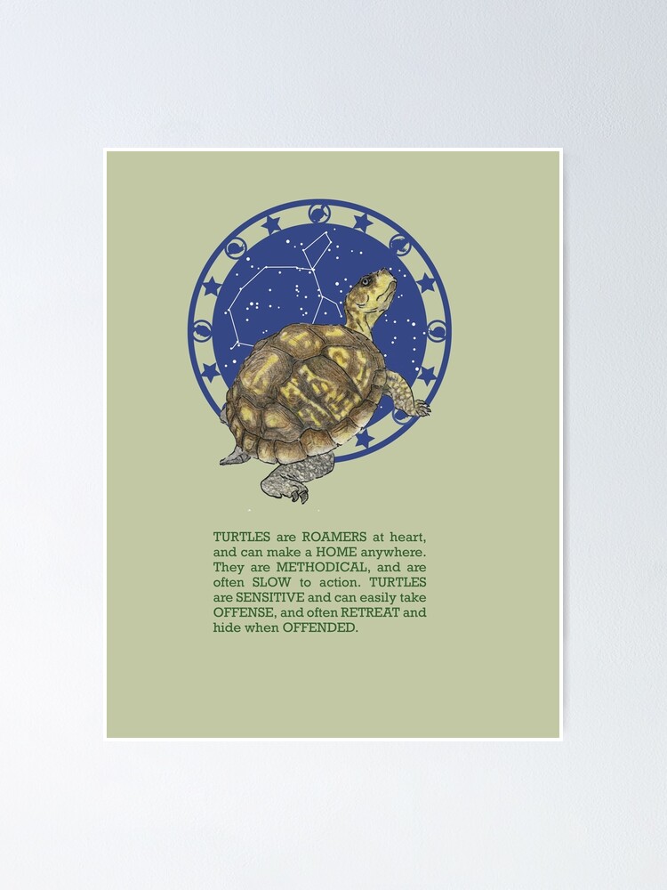 "Turtle Animal Sign Zodiac" Poster by salamandaz | Redbubble