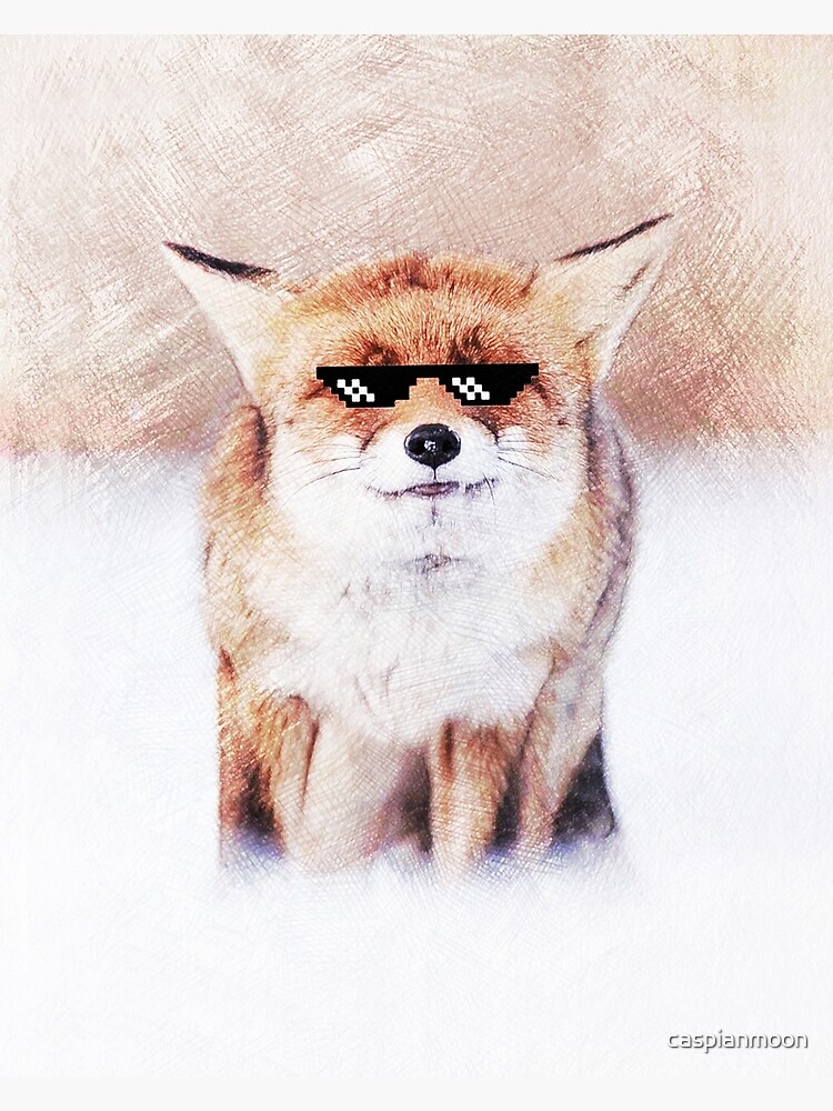 "Fox Meme" Poster by caspianmoon | Redbubble