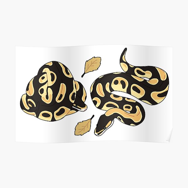 "Pastel Ball Python and Leaves" Poster for Sale by SparkleSnake | Redbubble