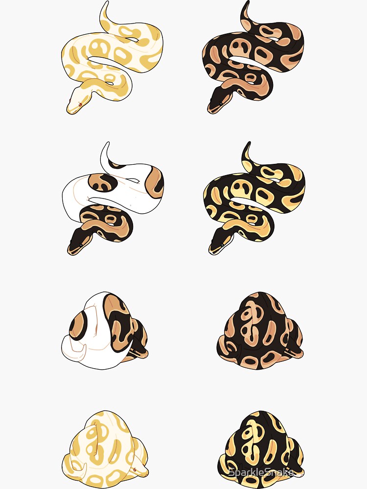 "Albino Ball Python and Leaves" Sticker for Sale by SparkleSnake ...
