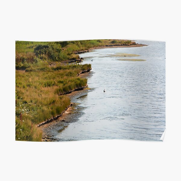 Nature Reserve Posters | Redbubble