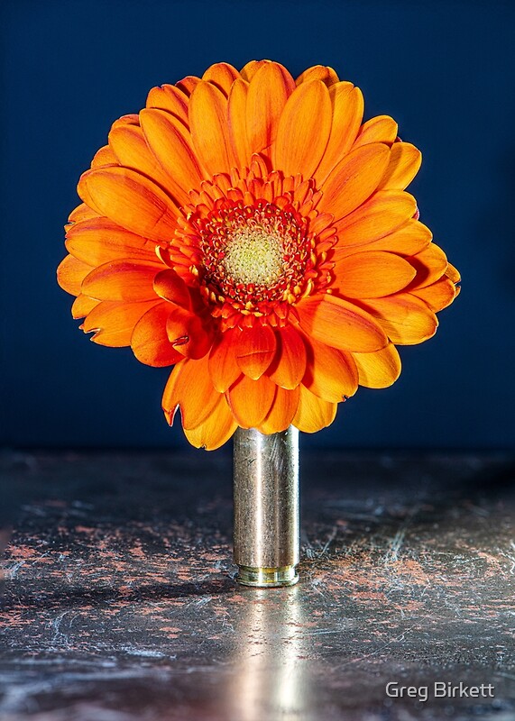 "Vase" by Greg Birkett | Redbubble