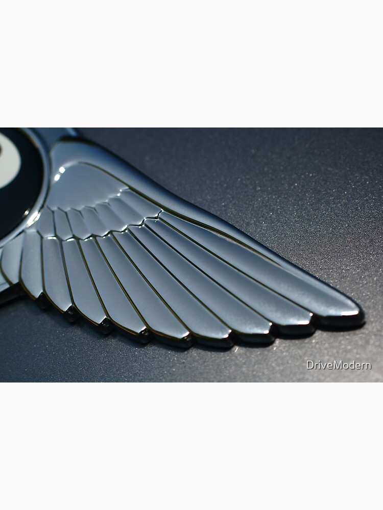 BRINGS NEW MEANING TO LEFT WING - CARS NOT POLITICS Premium Matte ...