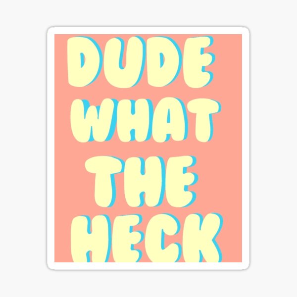 "Dude What The Heck" Sticker for Sale by aynsleegg | Redbubble