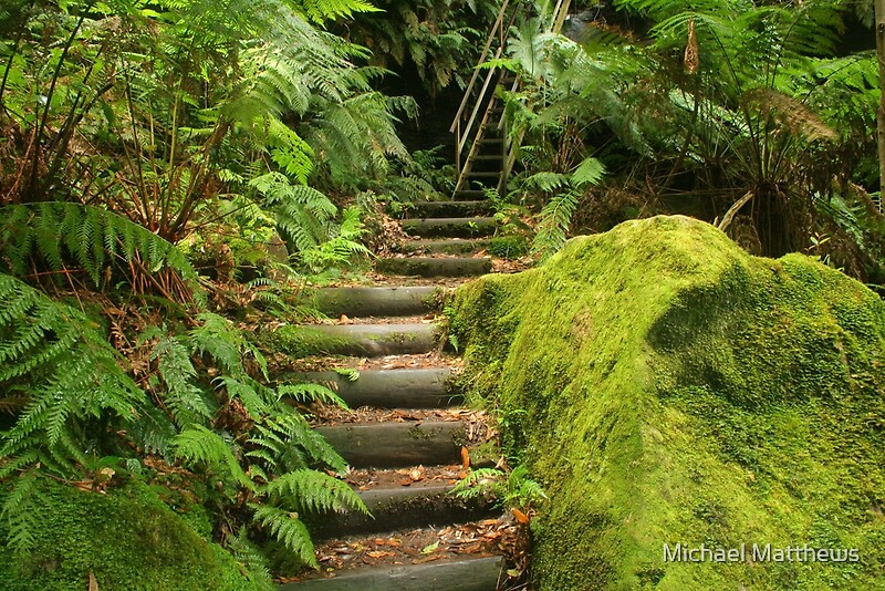 "Fern Bower Walk" by Michael Matthews | Redbubble
