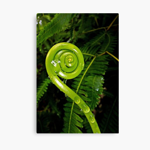 Spring Loaded Gifts & Merchandise | Redbubble