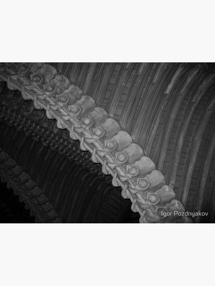 "H R Giger Bar Ceiling. Gruyeres, Switzerland" Art Print by ...