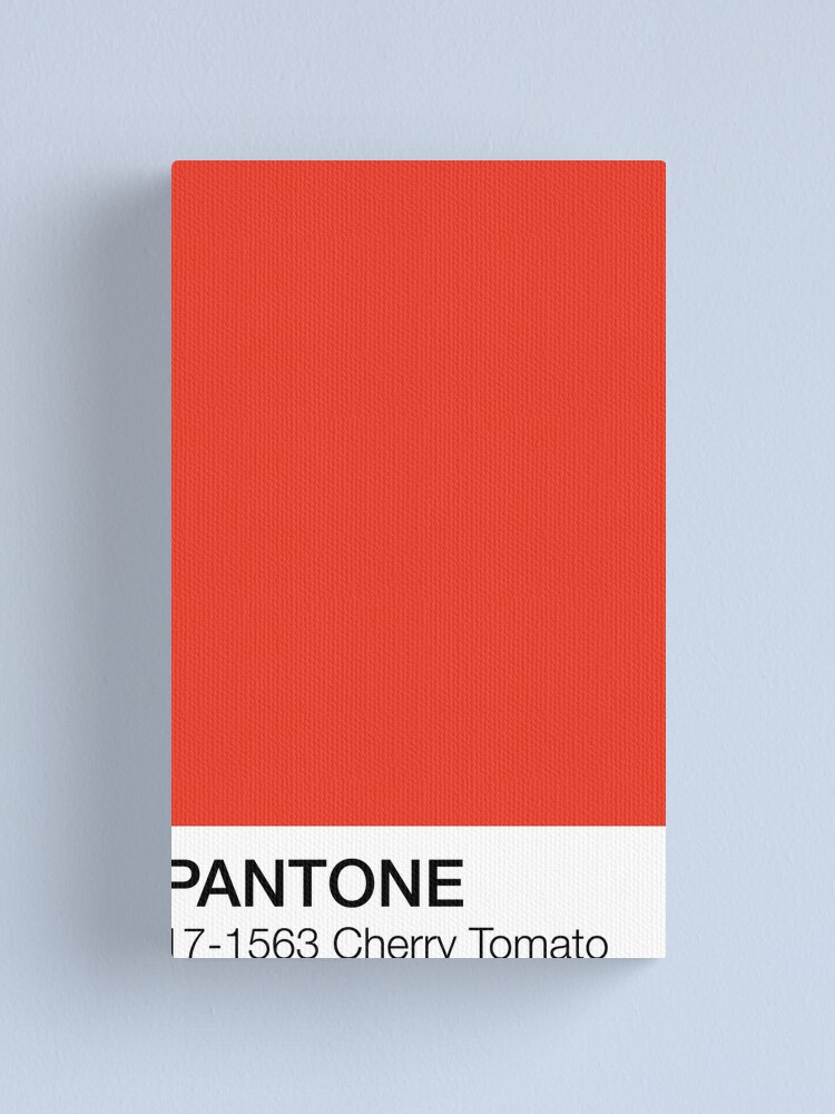 "Cherry Tomato Pantone Shade " Canvas Print for Sale by Alli ML | Redbubble