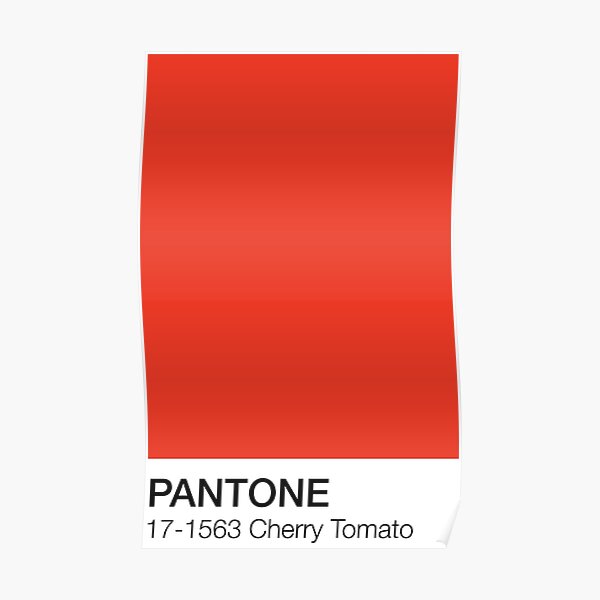 "Cherry Tomato Pantone Shade " Poster by allilapps | Redbubble