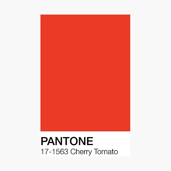 Cherry Pantone Shade Photographic Prints | Redbubble