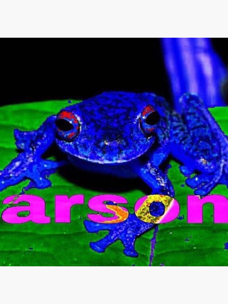 "Arson Blue Frog Tik-Tok" Sticker for Sale by Johnnythestan | Redbubble