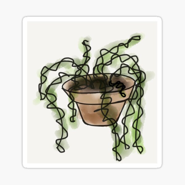 "Hanging Plant Doodle" Sticker by achavez8 | Redbubble