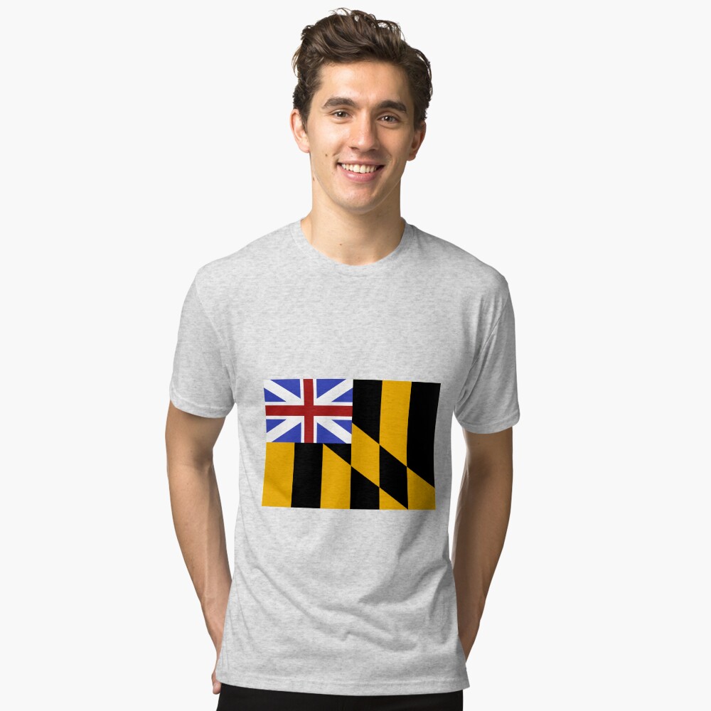 "Maryland Colonial Flag - Calvert Arms" Art Print for Sale by NewmsOne ...