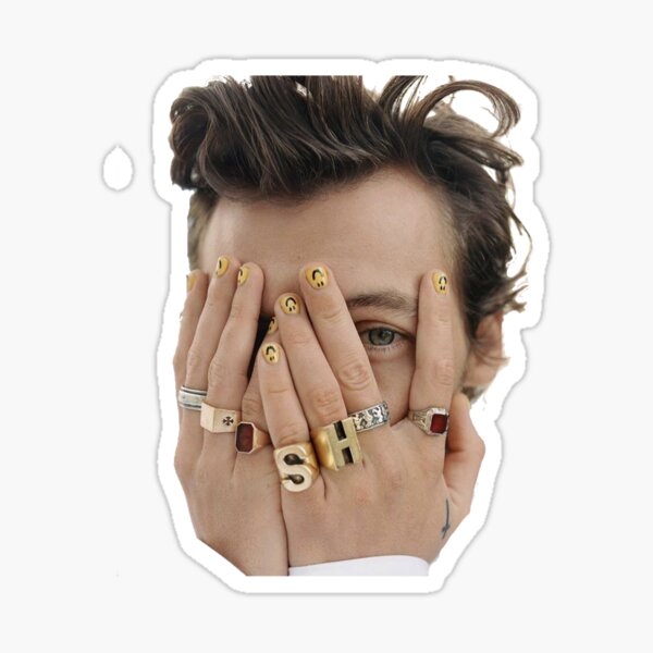 "Harry Styles " Sticker by rachtart | Redbubble