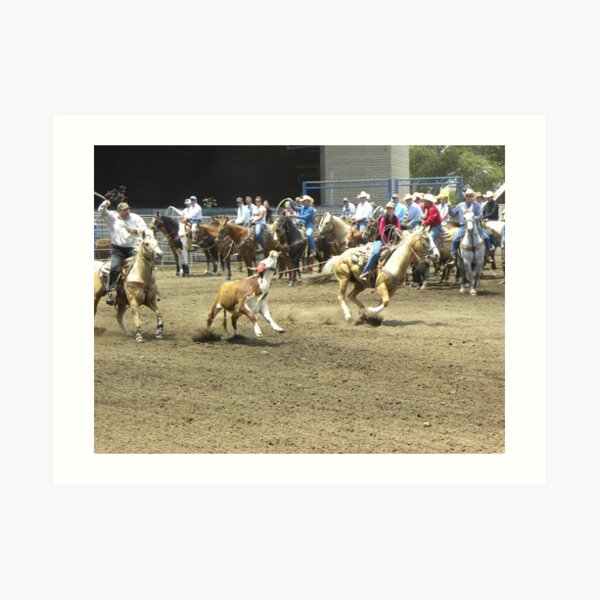 "Team Roping " Art Print by graysart | Redbubble