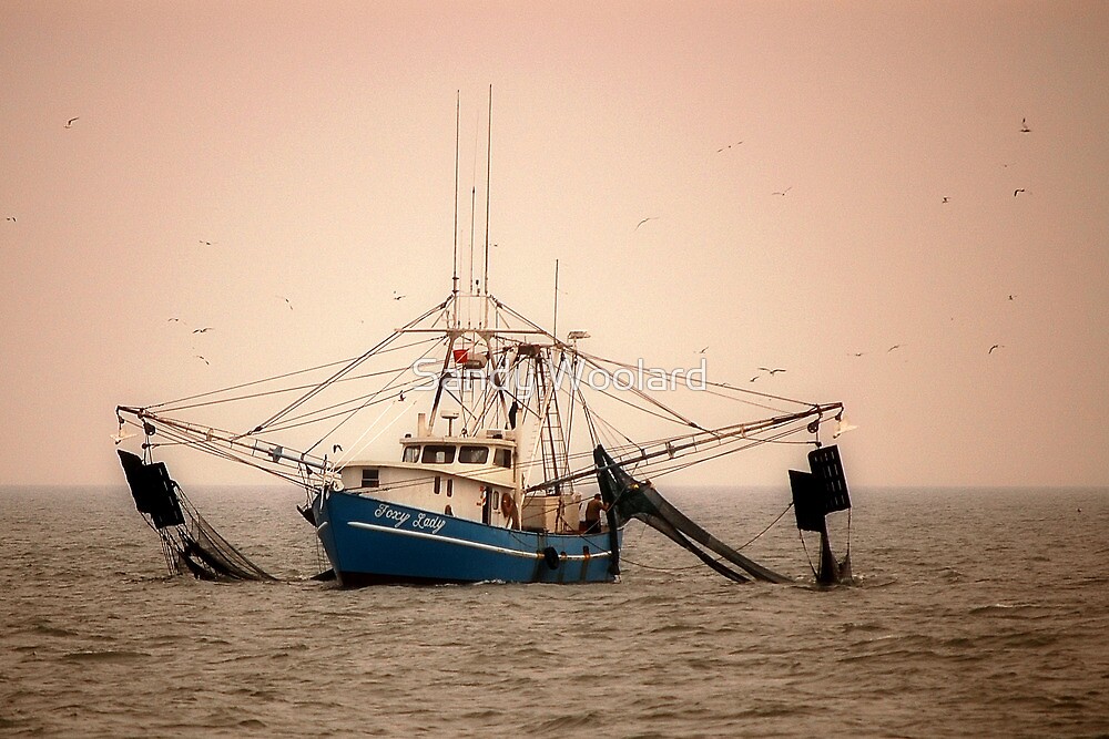 "Catch of the Day" by Sandy Woolard | Redbubble