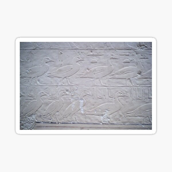 "Ducks and Geese. Hieroglyphs. Berlin" Sticker for Sale by JoukoKLehto ...