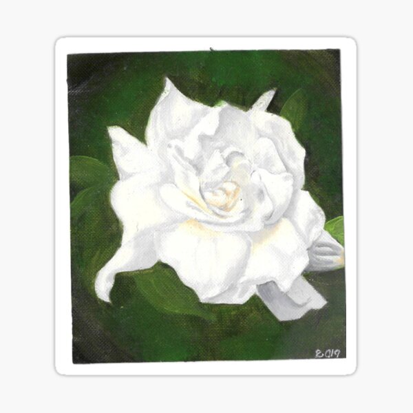 "Gardenia Painting" Sticker by E-Michelle | Redbubble