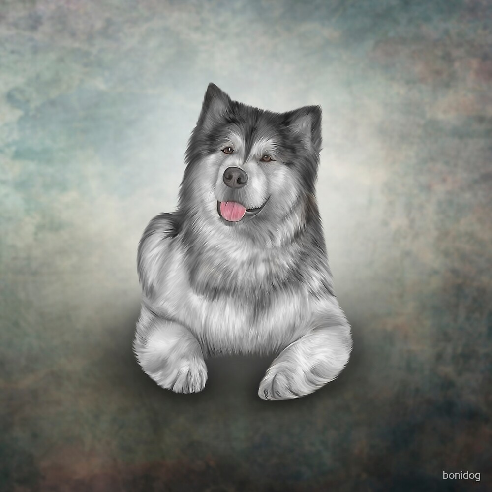 "Drawing Dog Alaskan Malamute" by bonidog | Redbubble