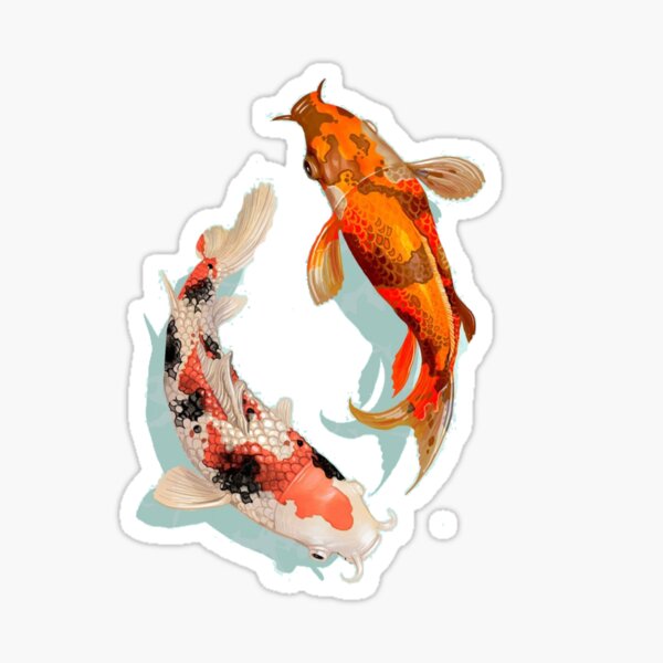 "Koi Fish Sticker" Sticker by kaylaachung | Redbubble