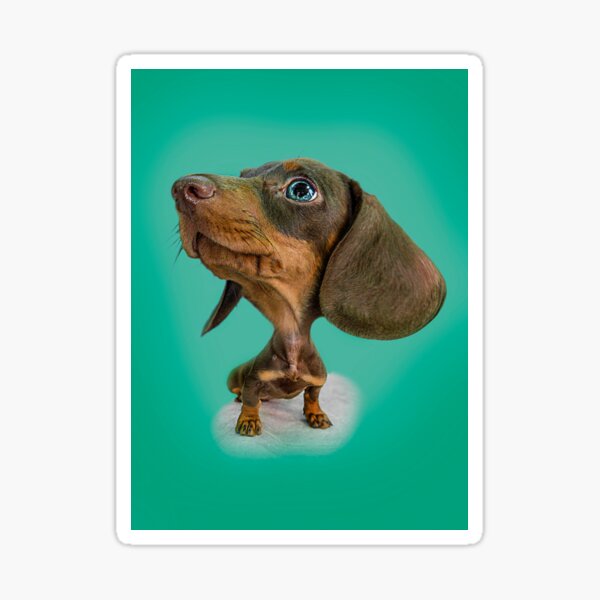 "Fun-eez Pet Caricatures by SadSac Designs Dachshund" Sticker for Sale ...