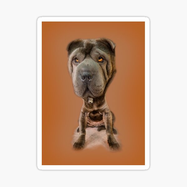 "Fun-eez Pet Caricatures by SadSac Designs Shar-pei" Sticker for Sale ...