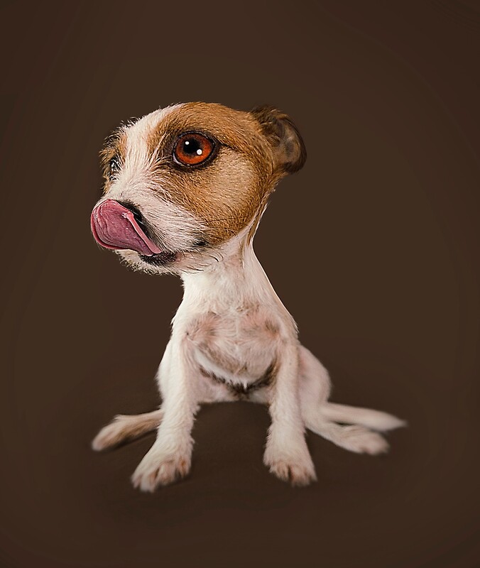 "Fun-eez Pet Caricatures by SadSac Designs" by SadSacDesigns | Redbubble