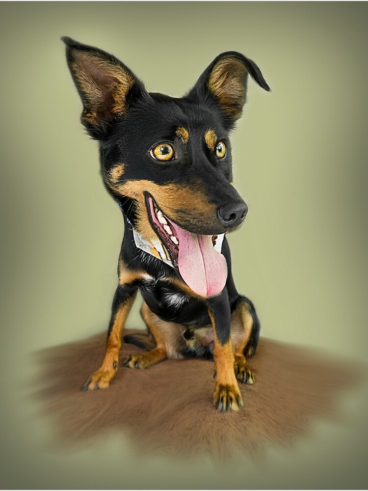 "Pet Caricatures by SadSac Designs" Poster for Sale by SadSacDesigns ...