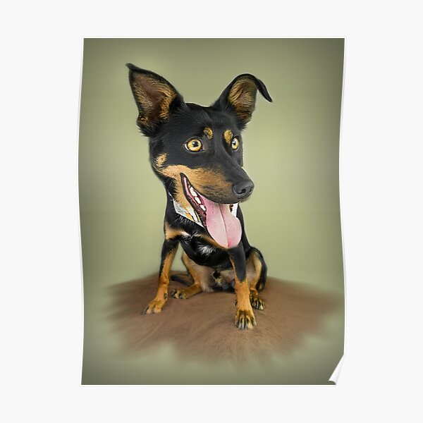 "Pet Caricatures by SadSac Designs" Poster for Sale by SadSacDesigns ...