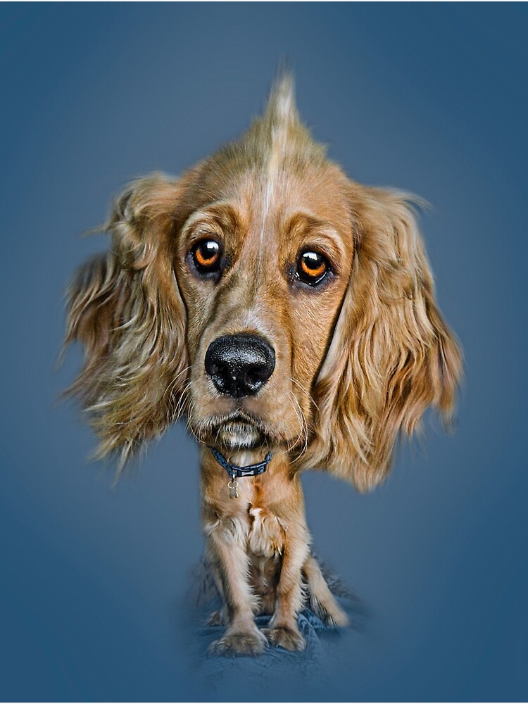 "Pet Caricatures by SadSac Designs" Poster for Sale by SadSacDesigns ...