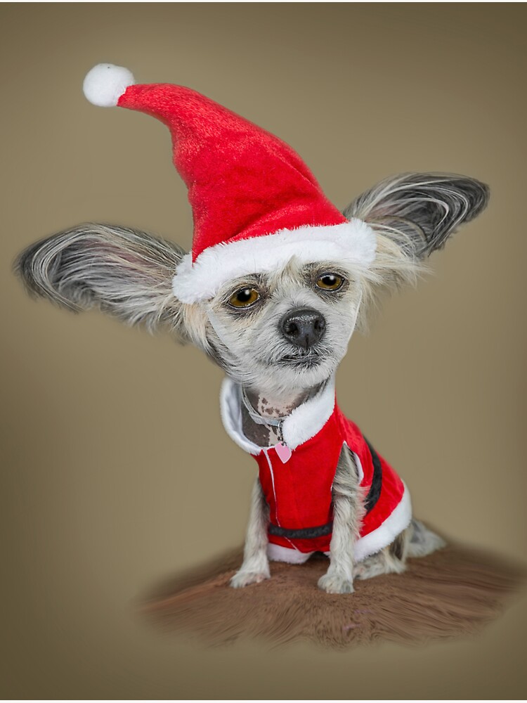 "Pet Caricatures by SadSac Designs" Sticker by SadSacDesigns | Redbubble