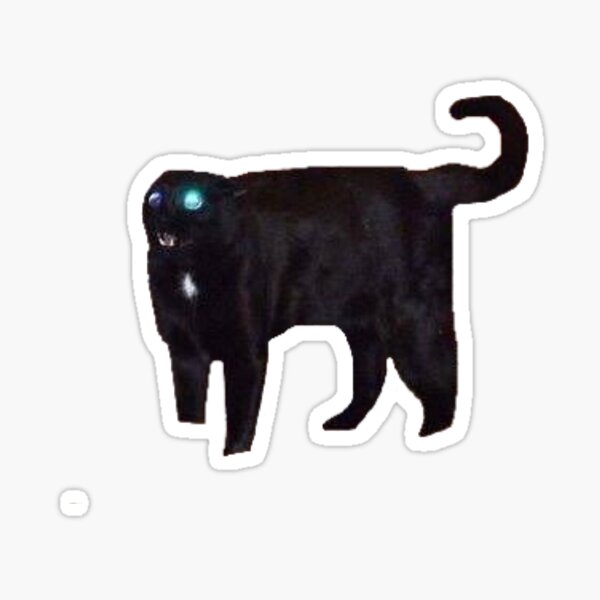 "cursed cat" Sticker by rmar | Redbubble