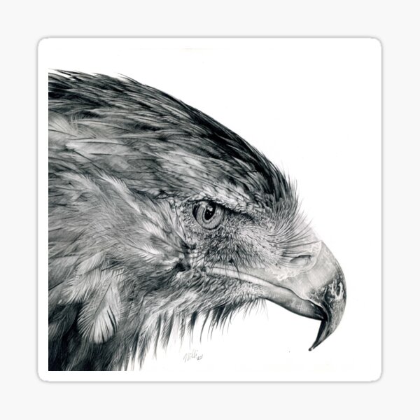 "Golden Eagle " Sticker for Sale by milli-artist | Redbubble
