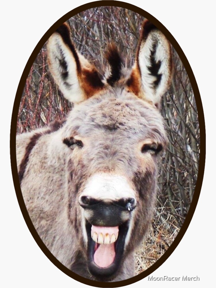 "Donkey Laugh" Sticker by ValiantTalent | Redbubble