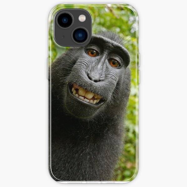 "smiling monkey" iPhone Case for Sale by javistore | Redbubble