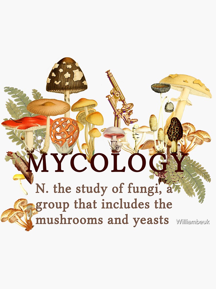 "Mycology" Sticker by Williambeuk | Redbubble