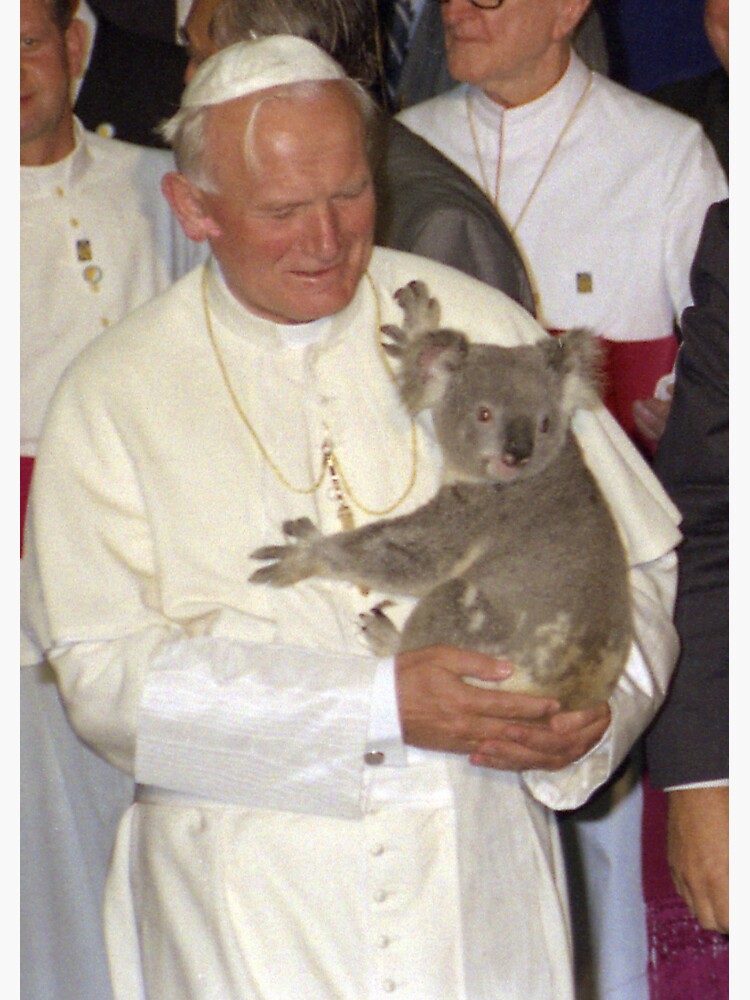 "Pope John Paul II - Koala" Sticker by charliecarden | Redbubble