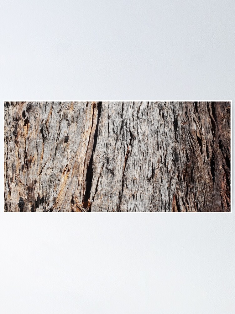 "Wood - Tree Bark " Poster by simpleones | Redbubble