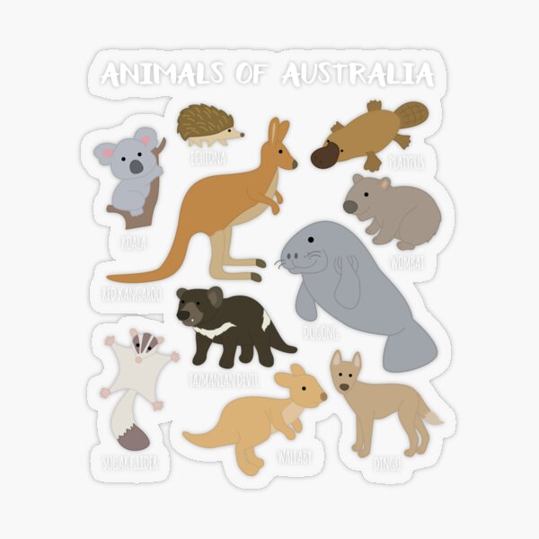 "Animals of Australia, Australian Animal Lover, Koala, Dingo, Sugar ...