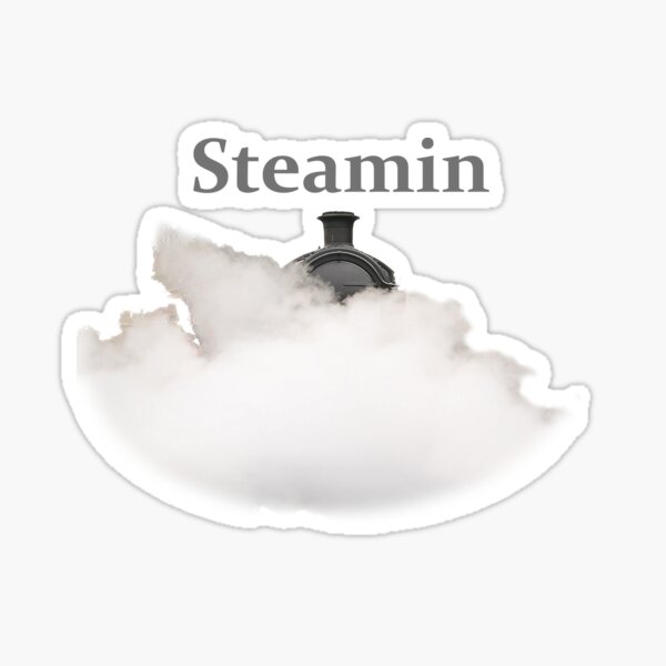 "steam" Sticker by DavidRMurphy | Redbubble